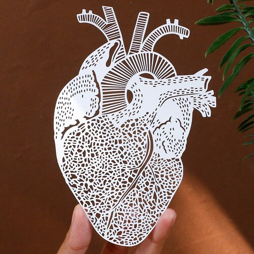 Heart Anatomy Paper Cut Template Human Heart Paper Cutting - Etsy India