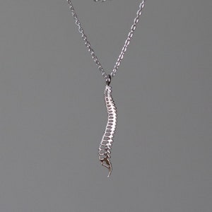 Spinal Cord Pendant Human Organ Jewelry Silver Pendant Biology ...