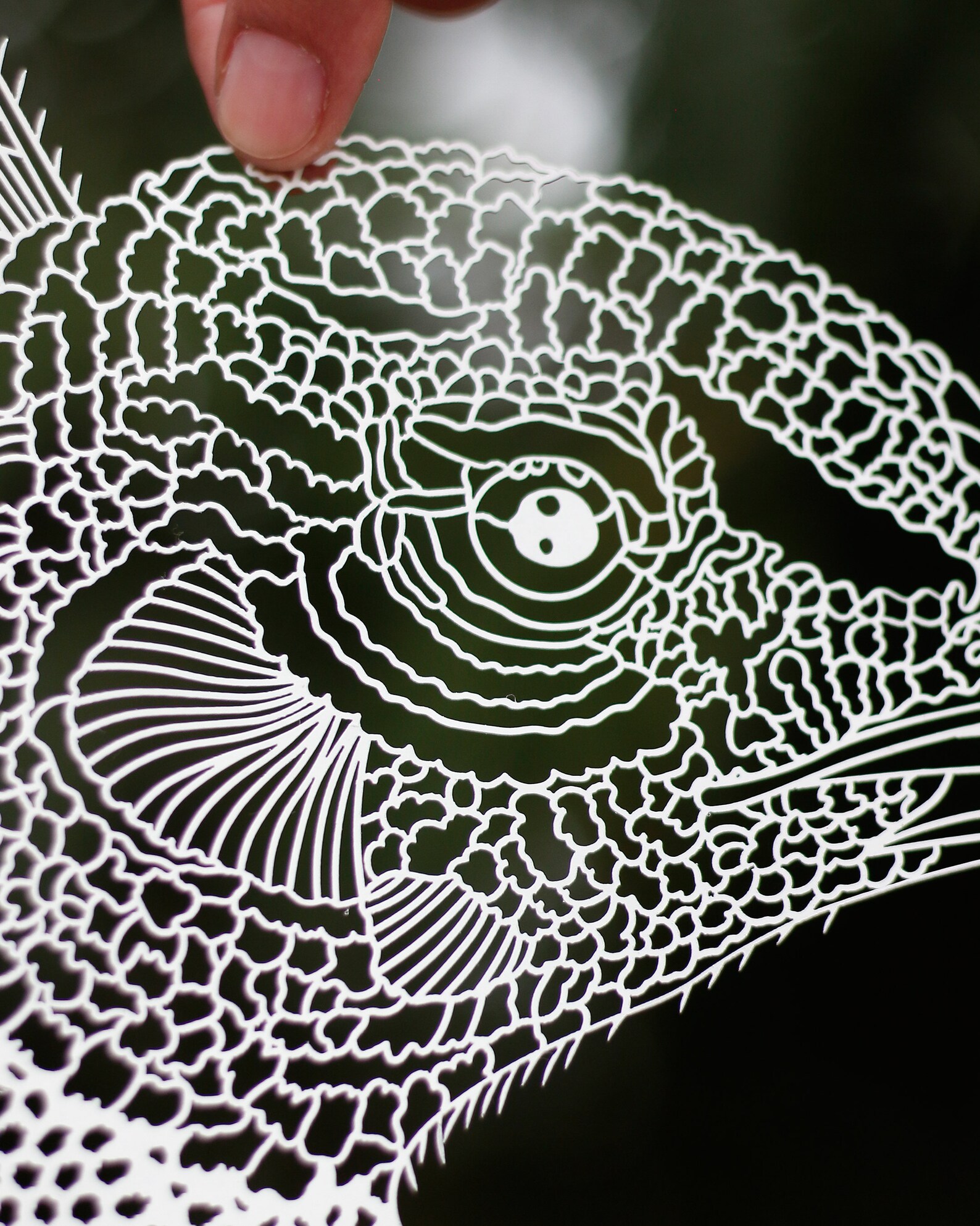 Peacock Bird Papercut Template Papercutting SVG Paper Cut - Etsy