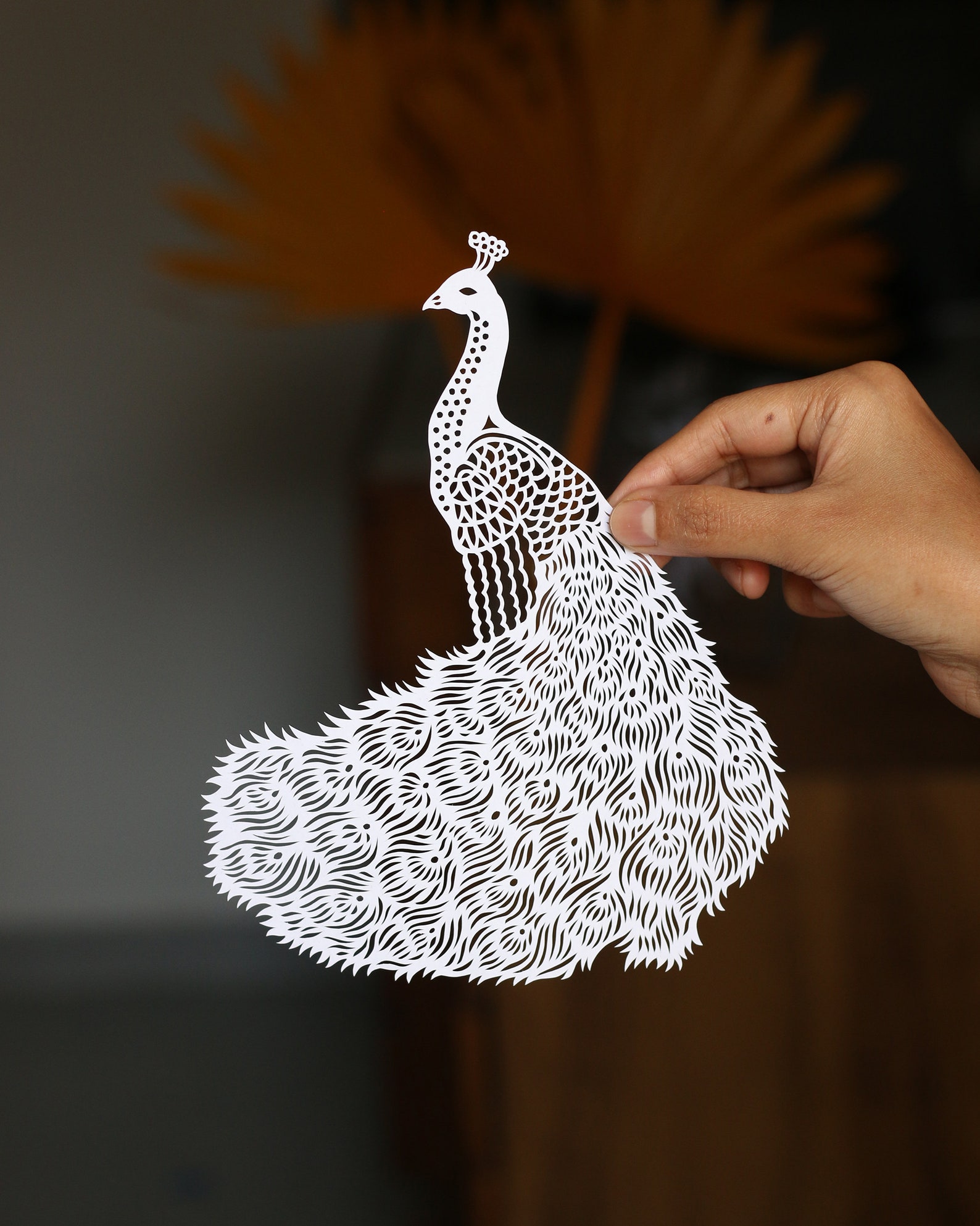 Peacock Bird Papercut Template, Papercutting Cricut SVG Silhouette ...
