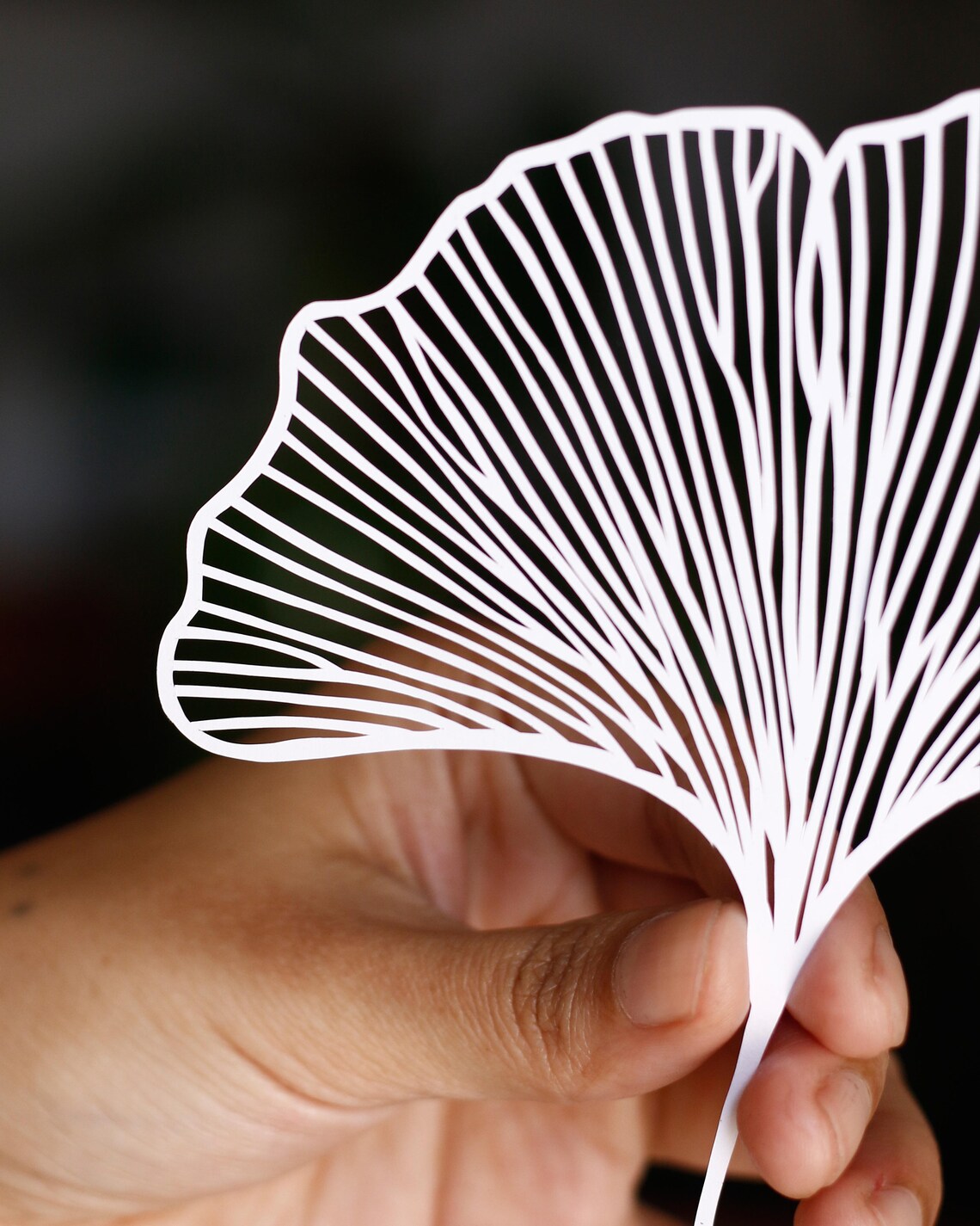 Gingko Leaf Papercut Template Papercutting Art Pdf Jpg - Etsy