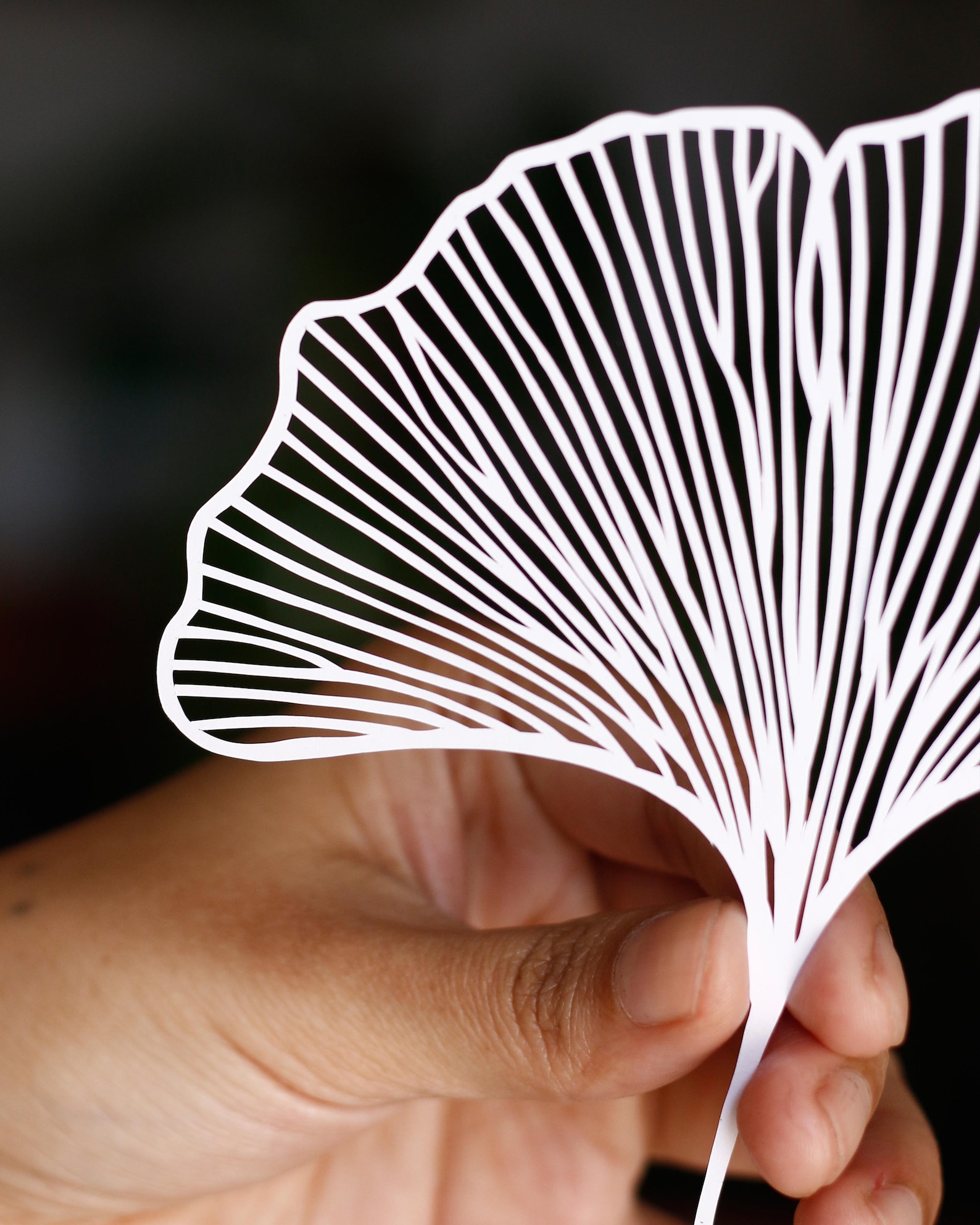 Gingko Leaf Papercut Template Papercutting Art Pdf Jpg - Etsy