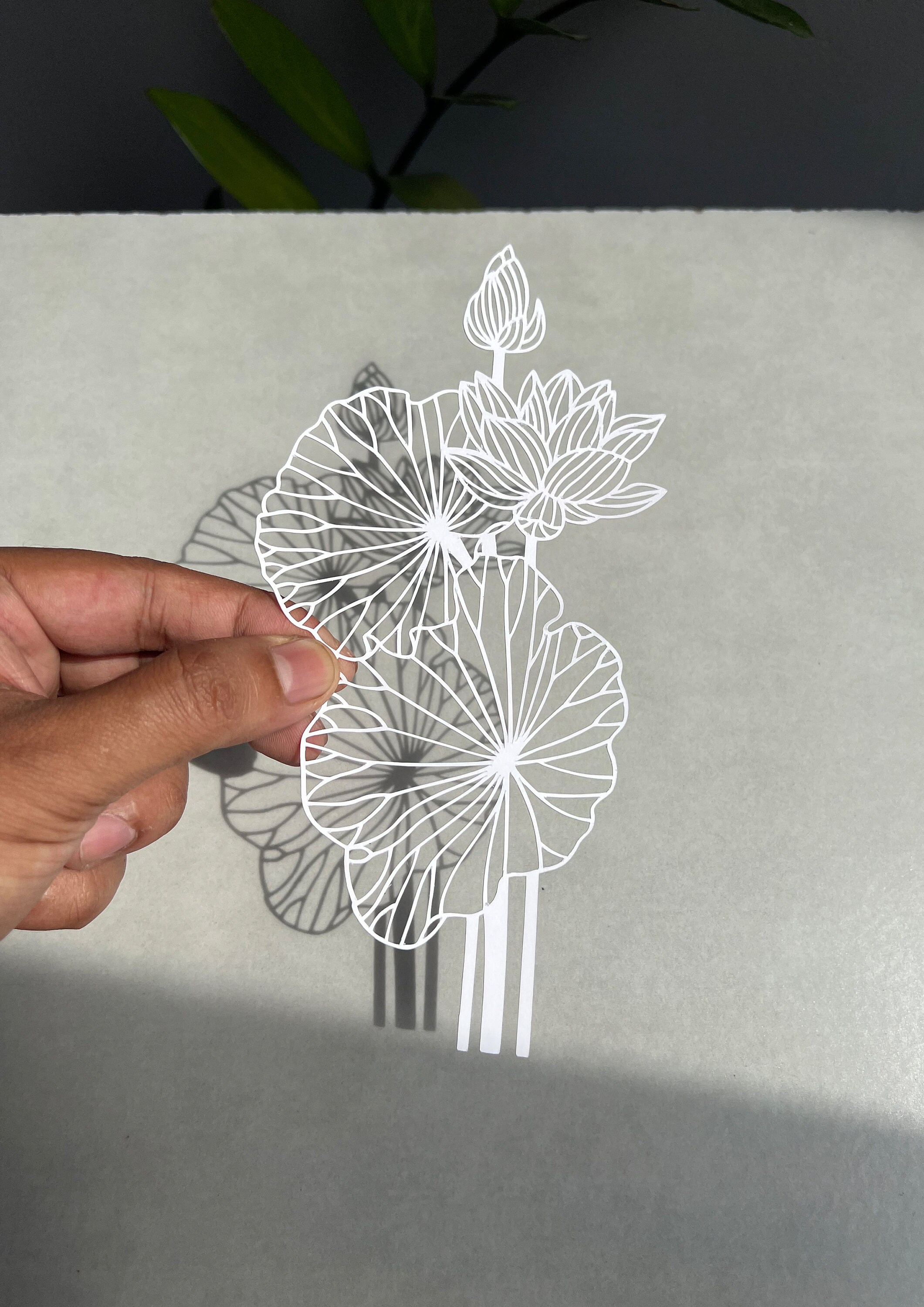 Lotus Papercut Template Papercutting Art Lotus Flower Cricut SVG ...