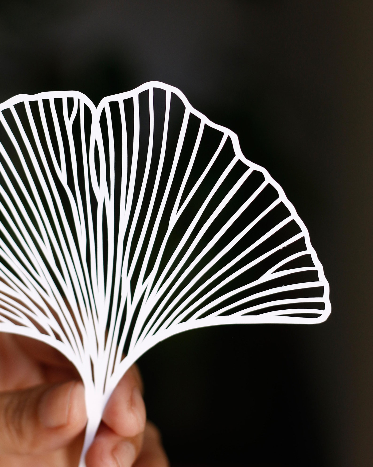 Gingko Leaf Papercut Template Papercutting Art Pdf Jpg - Etsy