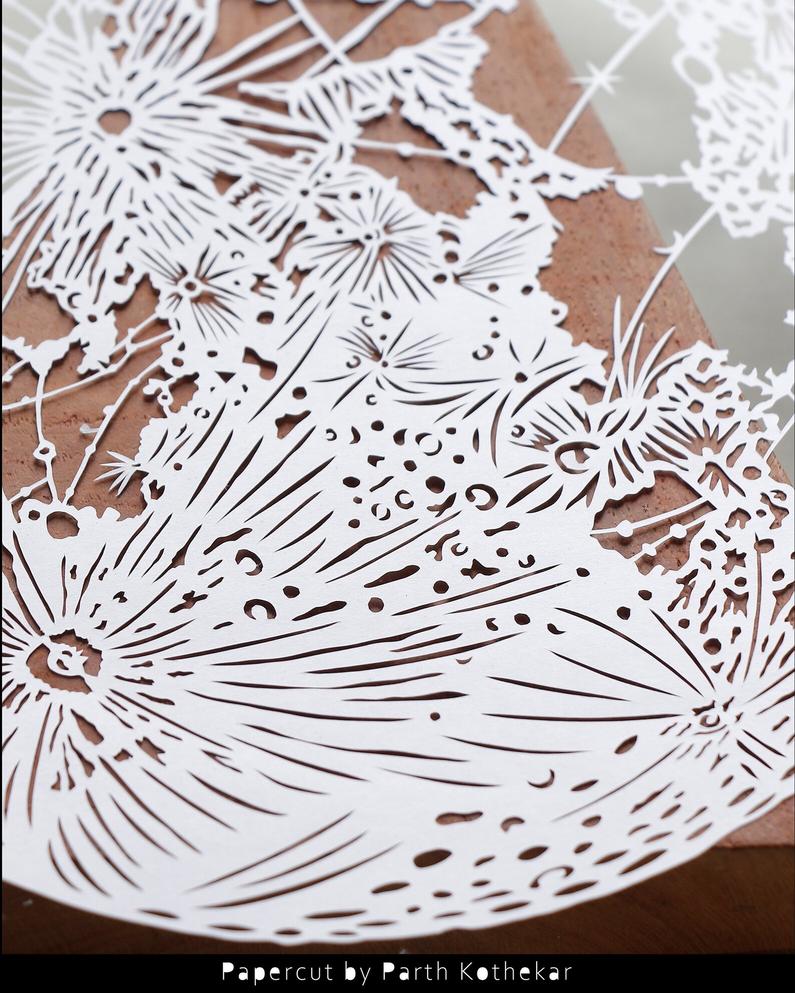 Moon Papercut Template Lunar Paper Art Paper Cutting Art - Etsy