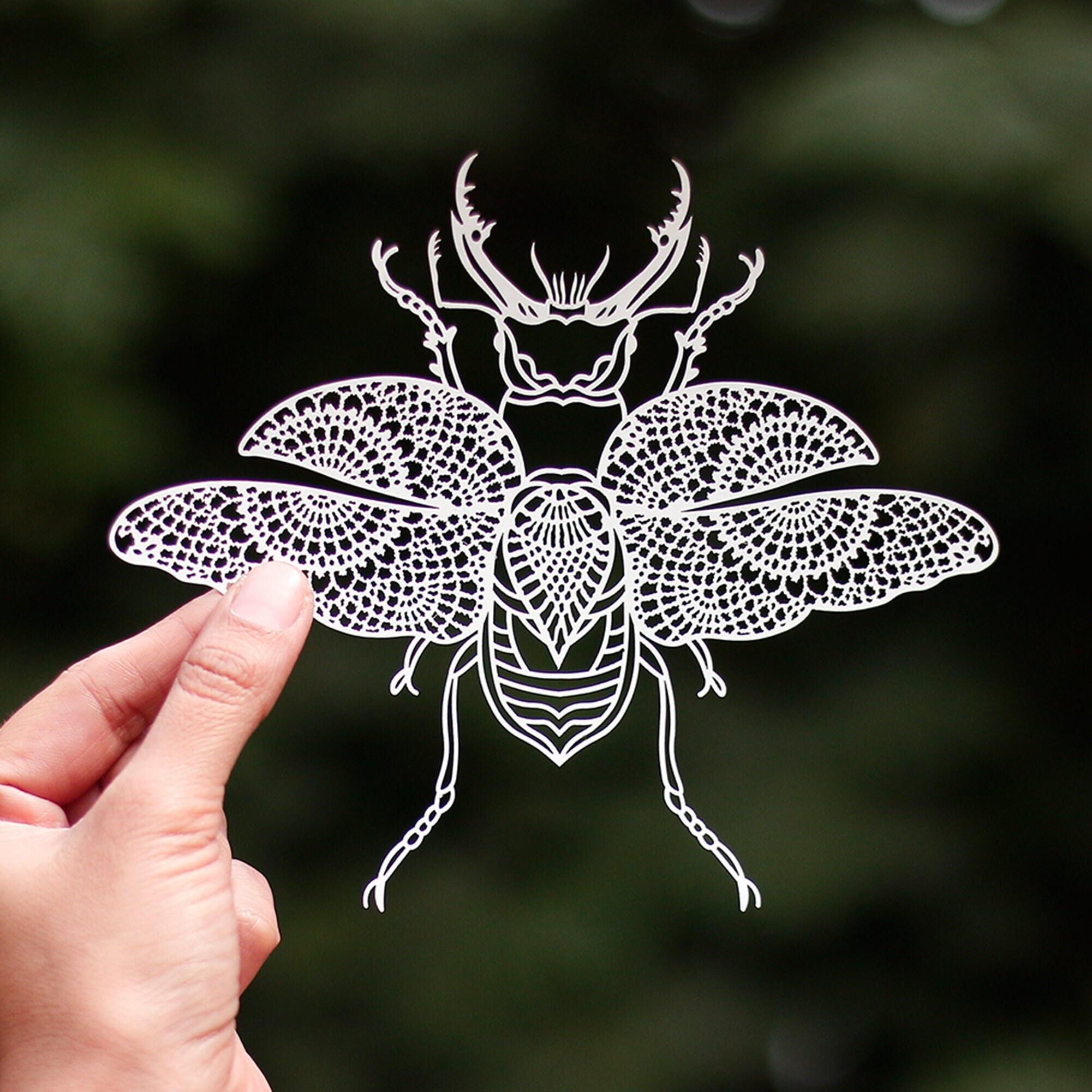 Beetle Papercut Template, Papercutting SVG, Paper Cut Art, Digital ...
