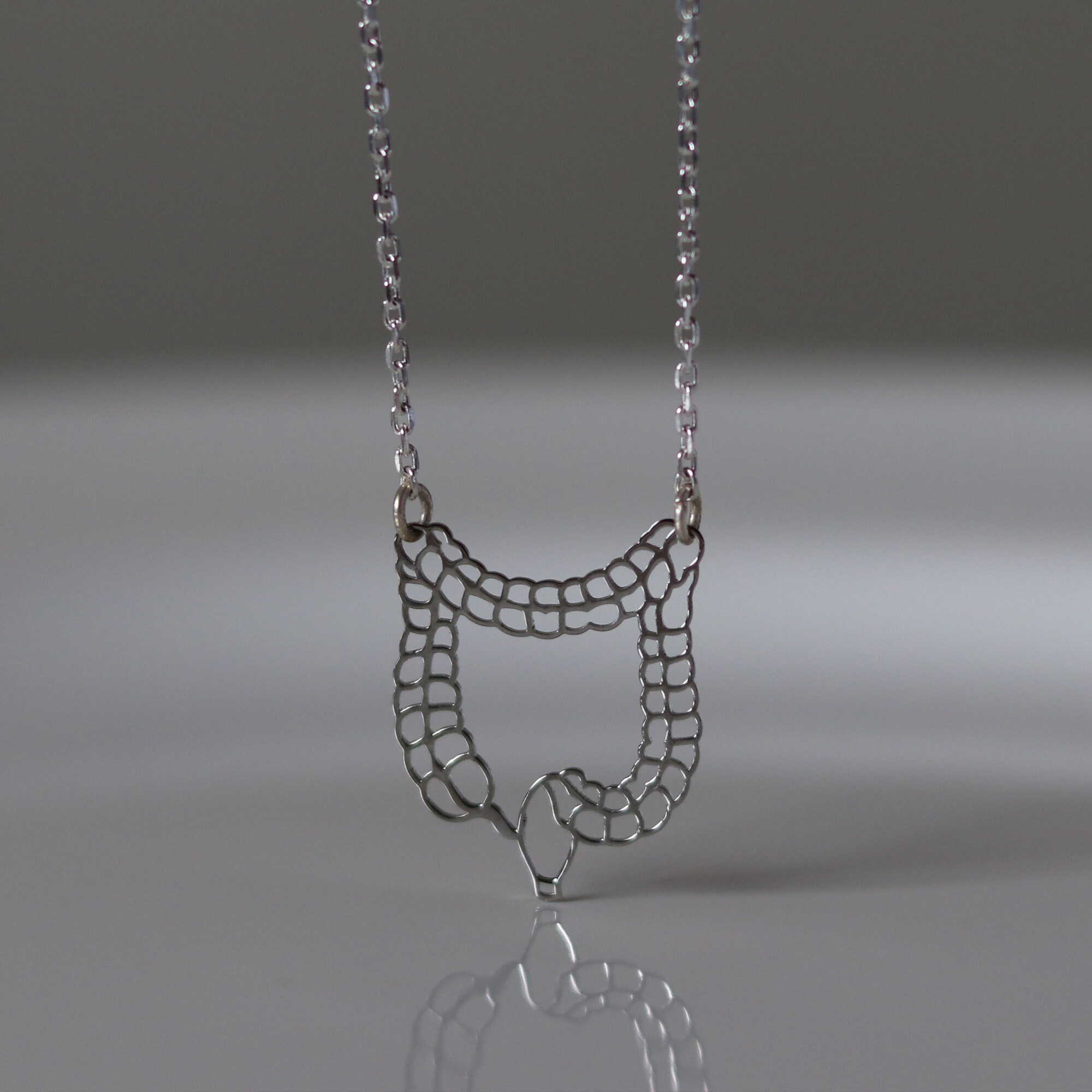 Large Intestine Pendant Human Organ Necklace Silver Pendant Biology ...