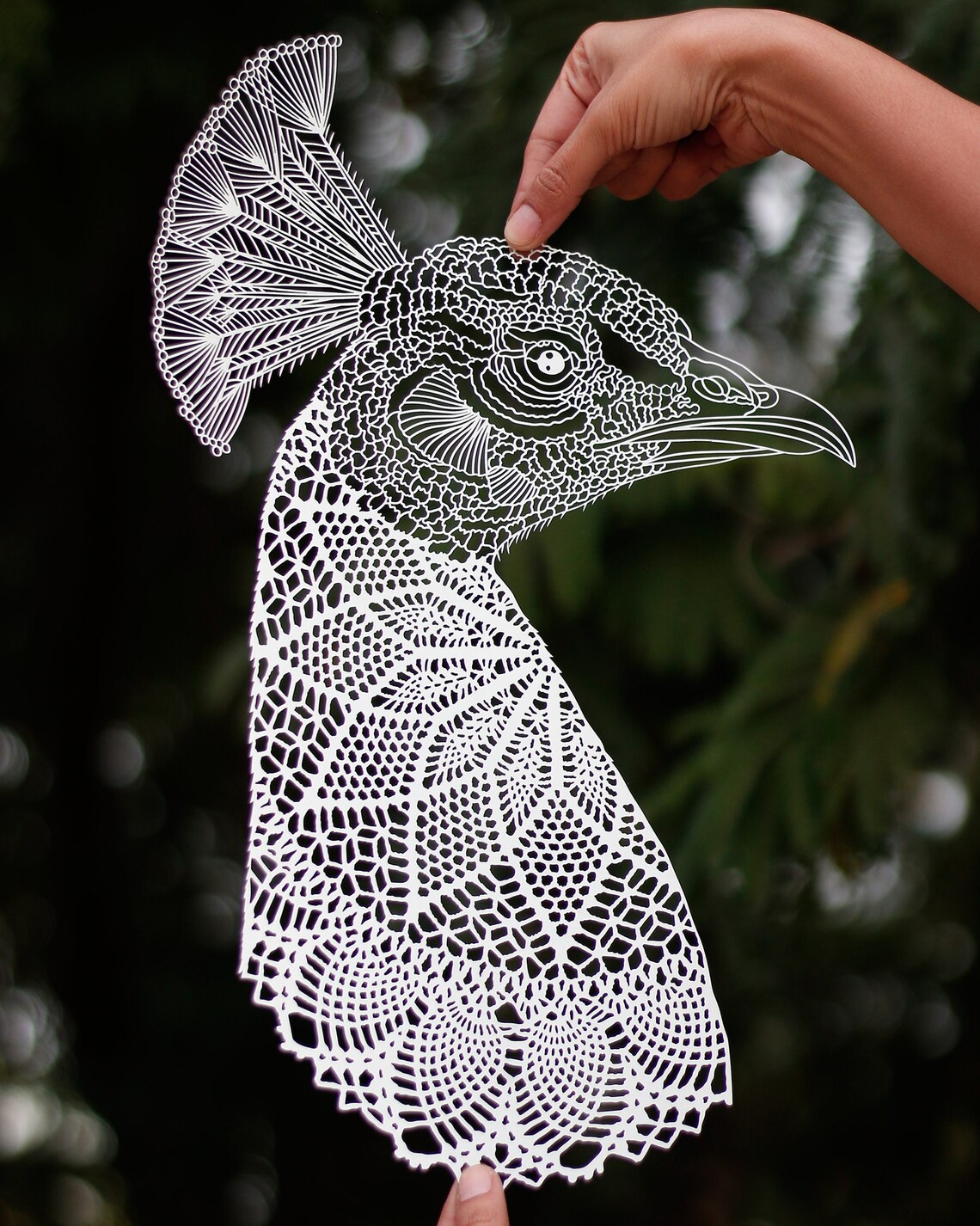 Peacock Bird Papercut Template Papercutting SVG Paper Cut - Etsy