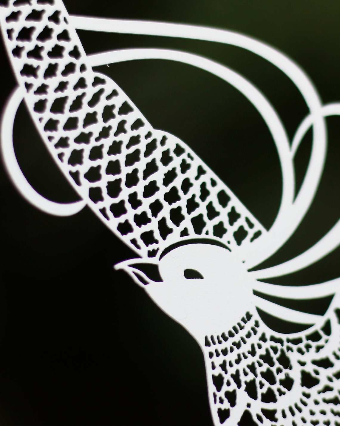 Phoenix Bird Papercut Template, Papercutting SVG, Paper Cut Art ...