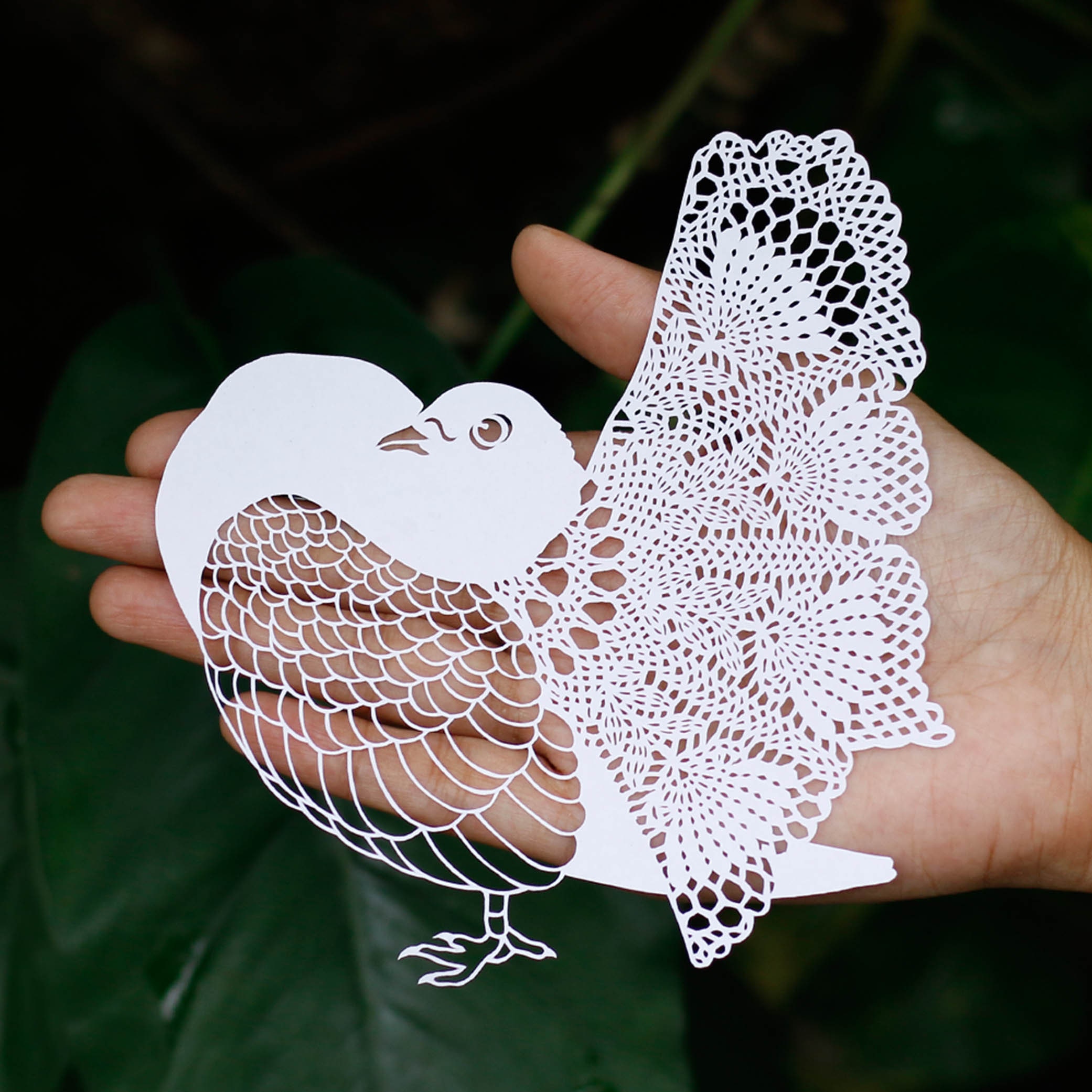 Pigeon Bird Papercut Template, Papercutting SVG, Paper Cut Art, Digital ...