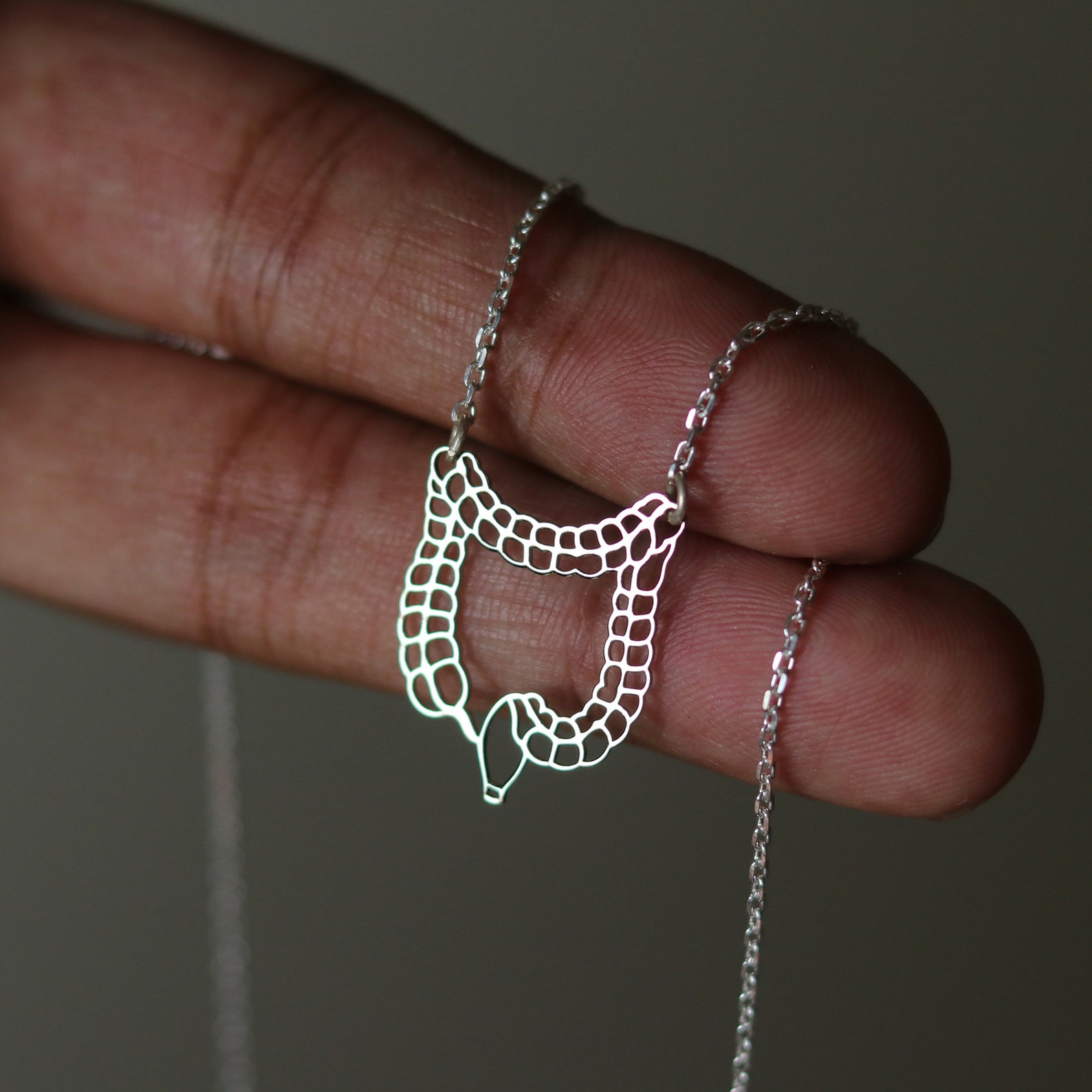 Large Intestine Pendant Human Organ Necklace Silver Pendant Biology ...