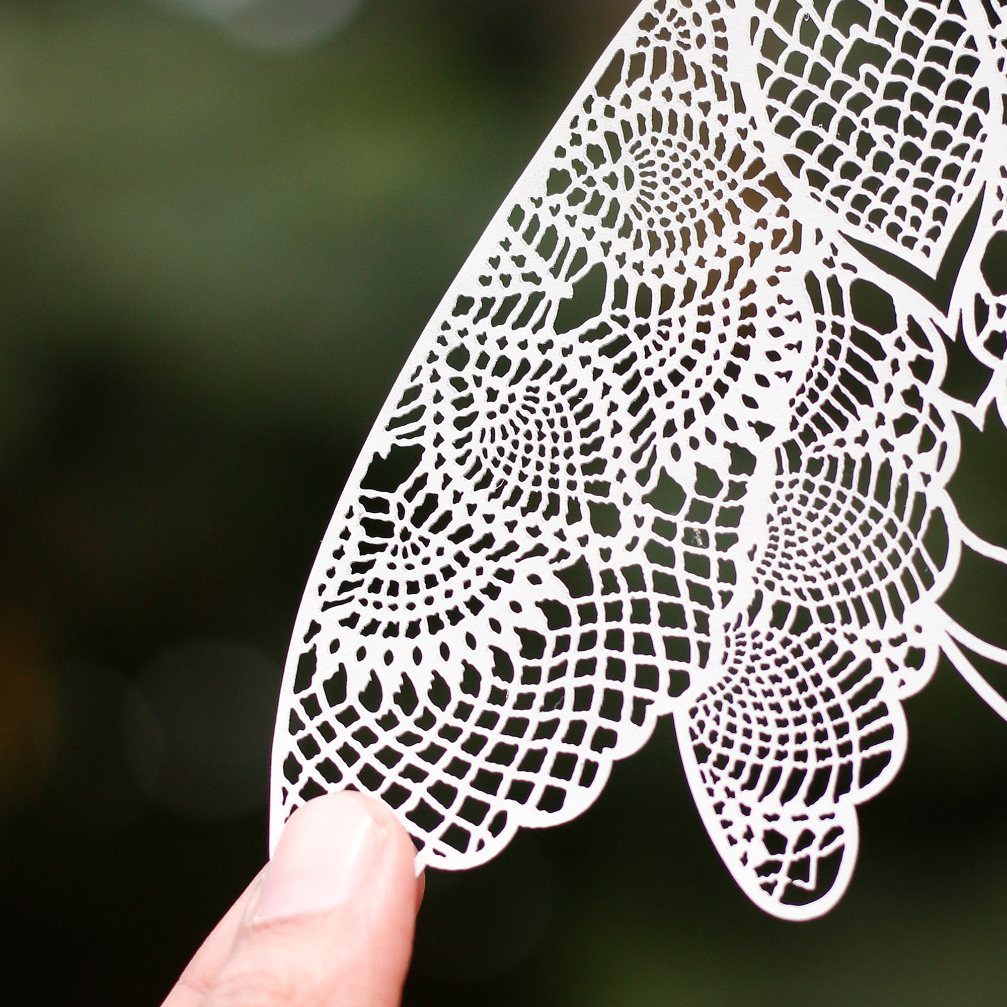 Butterfly Papercut Template Papercutting SVG Paper Cut Art - Etsy