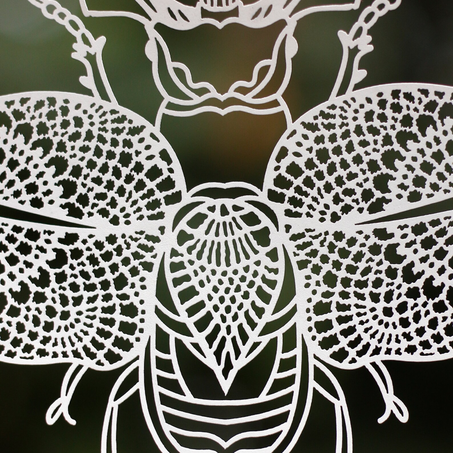 Beetle Papercut Template, Papercutting SVG, Paper Cut Art, Digital ...