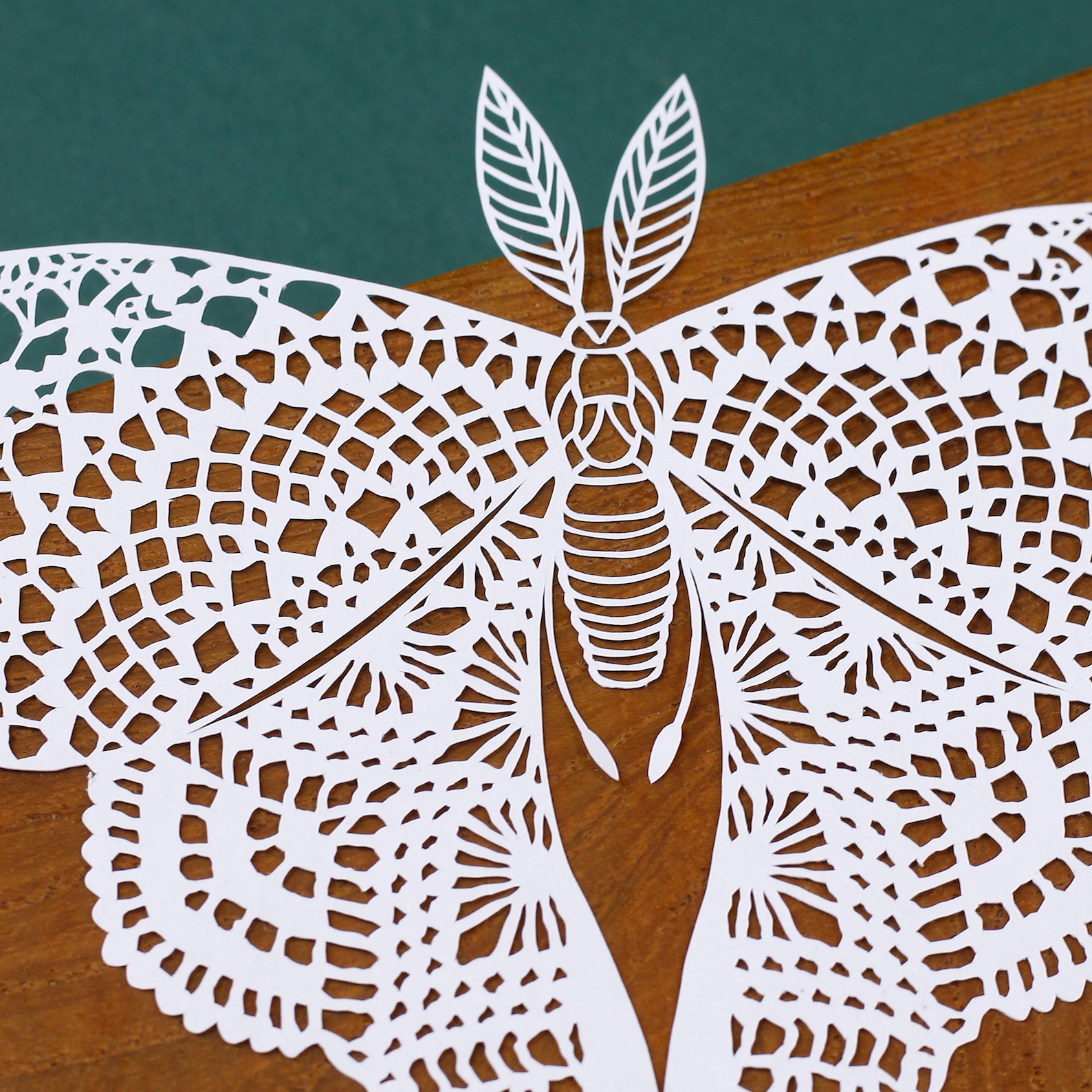 Butterfly Papercut Template Moth Papercutting Paper Cut Art - Etsy