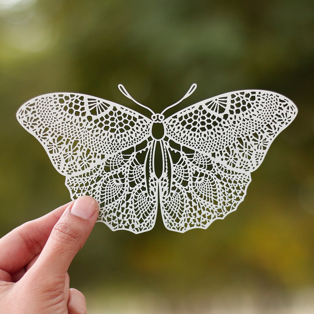 Butterfly Papercut Template, Papercutting SVG, Paper Cut Art, Digital ...