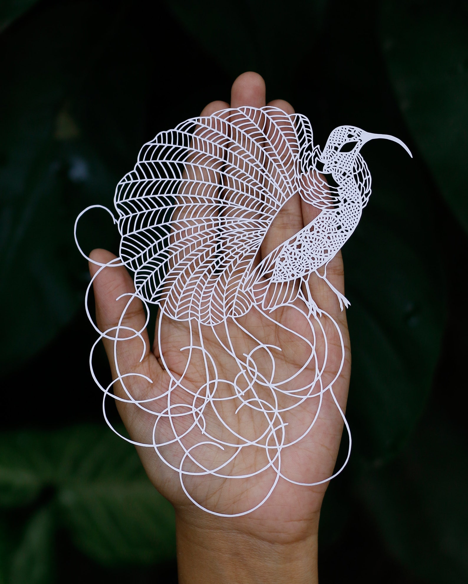 Papercut Template Bird of Paradise, Bird Papercutting, Digital Download ...