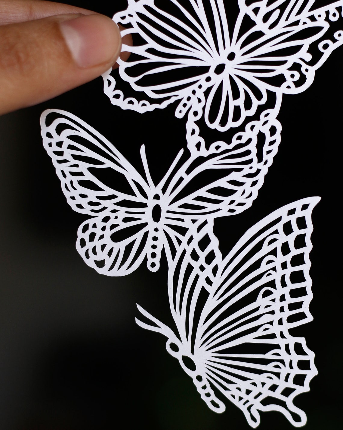 Butterfly Papercut Template | Papercutting Art Pdf Jpg | Cricut SVG ...