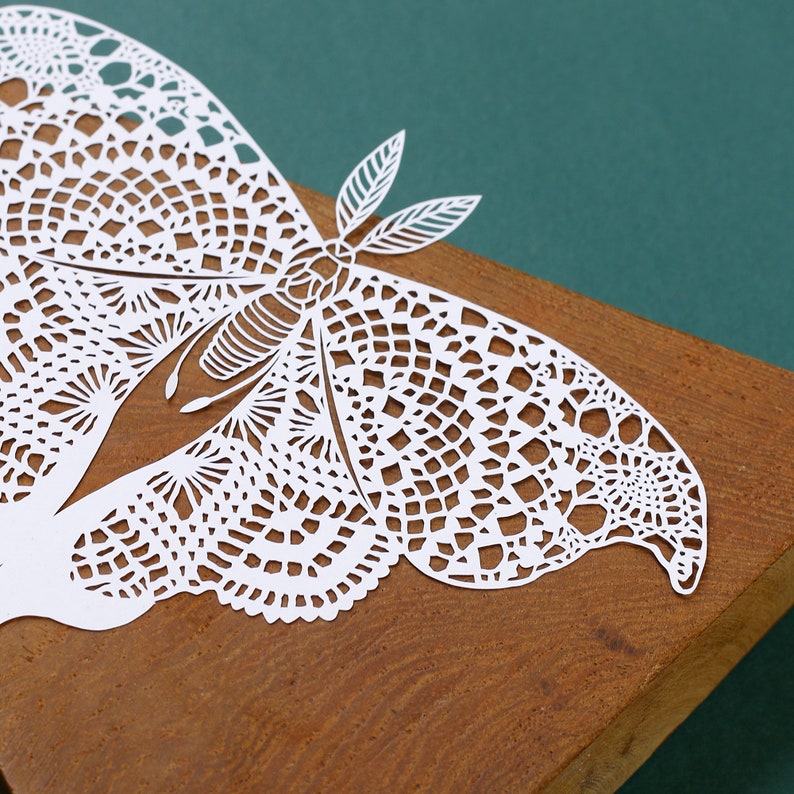 Butterfly Papercut Template Moth Papercutting Paper Cut Art - Etsy