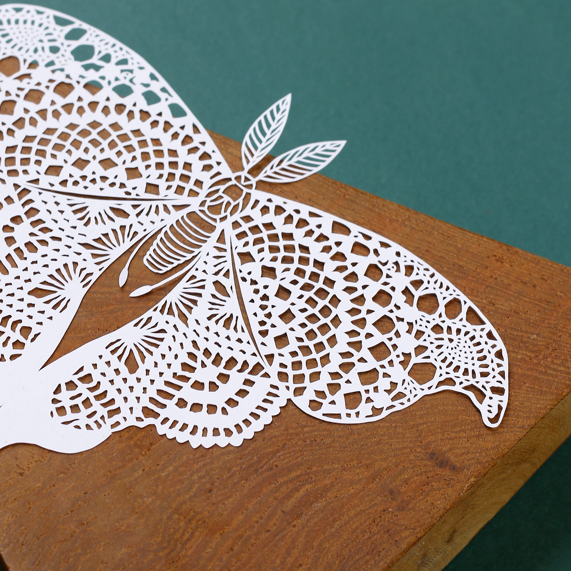 Butterfly Papercut Template Moth Papercutting Paper Cut Art - Etsy