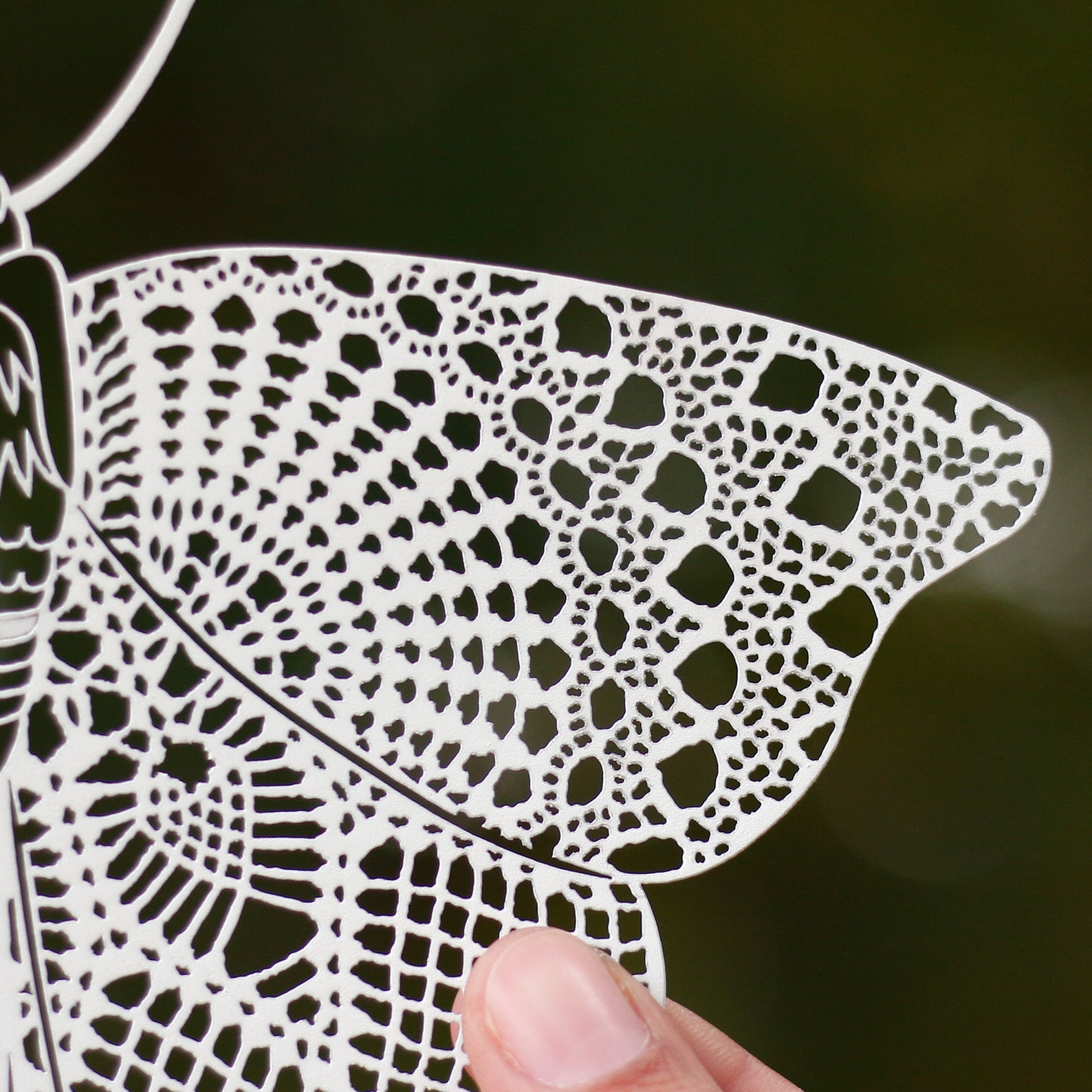 Butterfly Papercut Template Papercutting SVG Paper Cut Art - Etsy