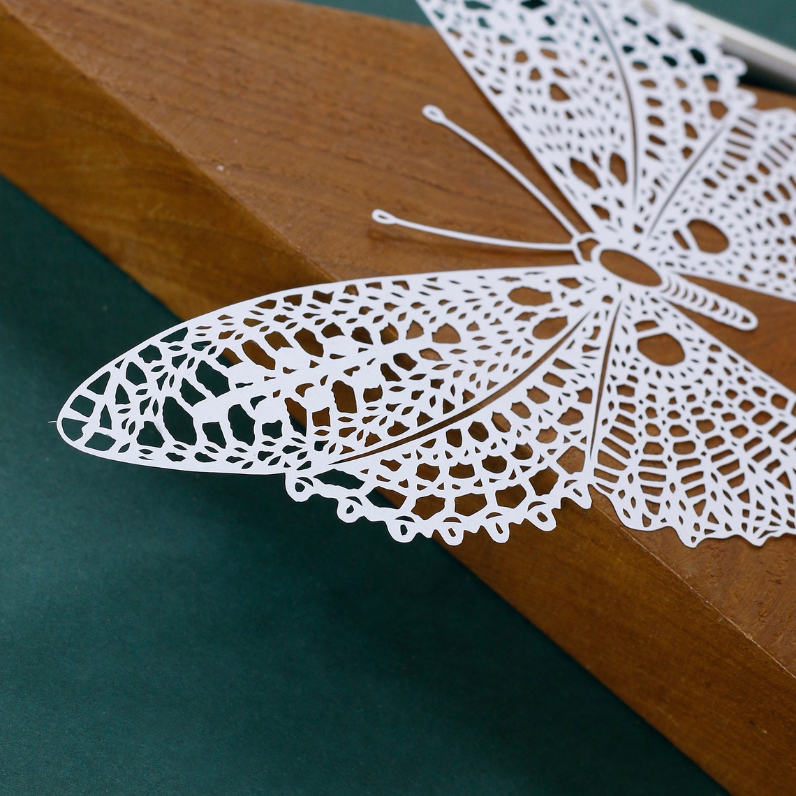 Butterfly Papercut Template, Papercutting SVG, Paper Cut Art, Digital ...