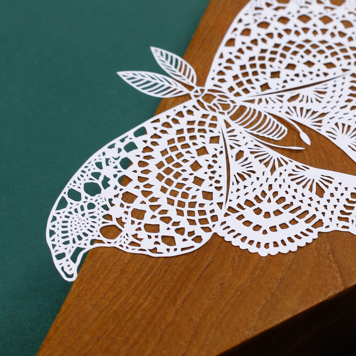 Butterfly Papercut Template Moth Papercutting Paper Cut Art - Etsy