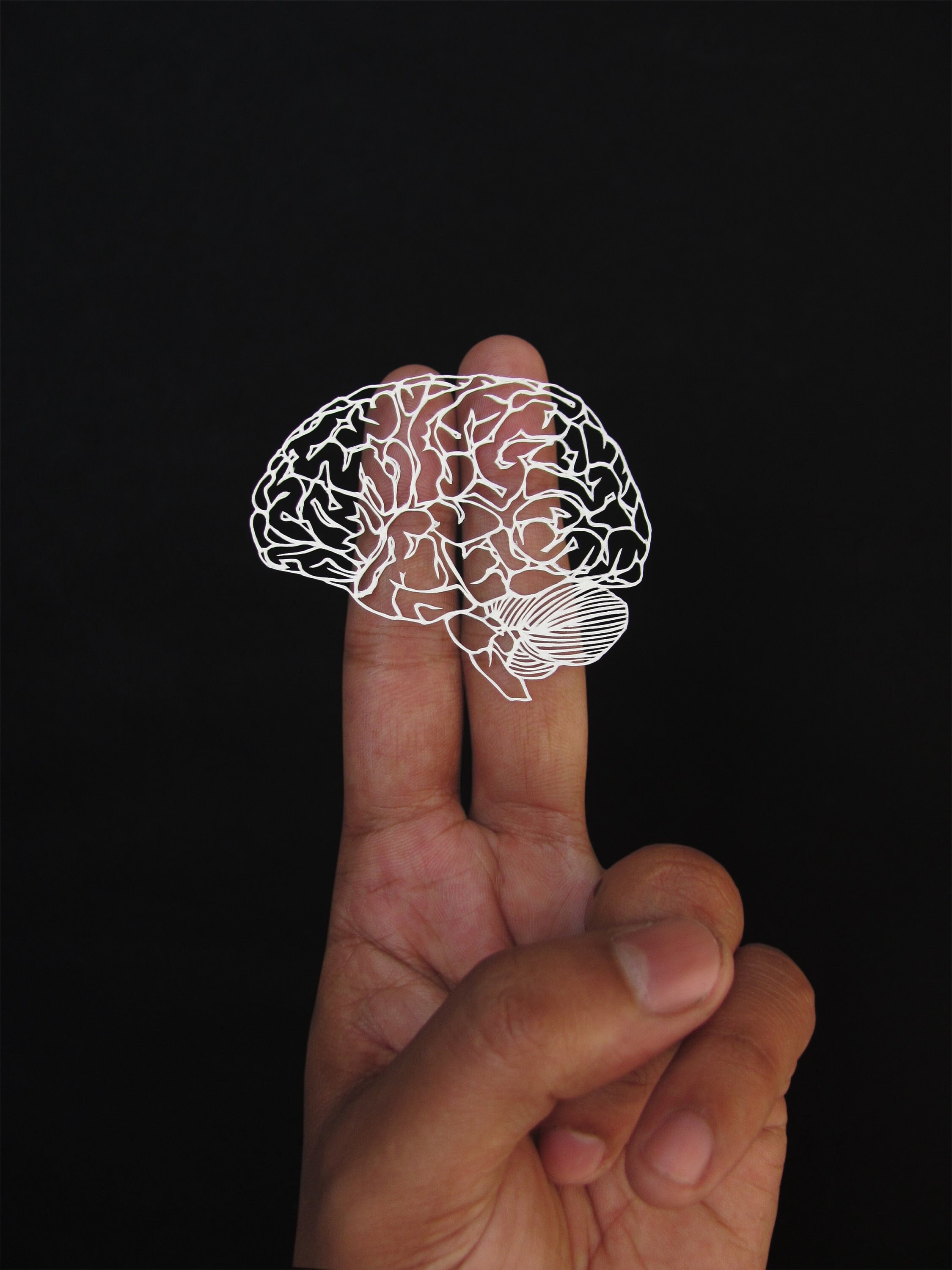 Brain Papercut Template | Papercutting Art Pdf Jpg | Cricut SVG ...