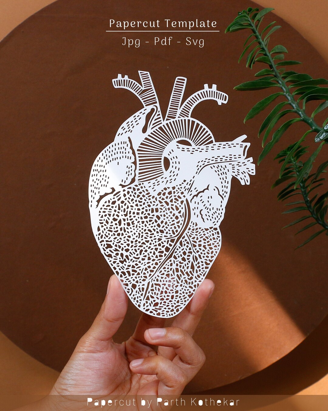 Heart Anatomy Paper Cut Template | Human Heart Paper Cutting Art | Svg ...