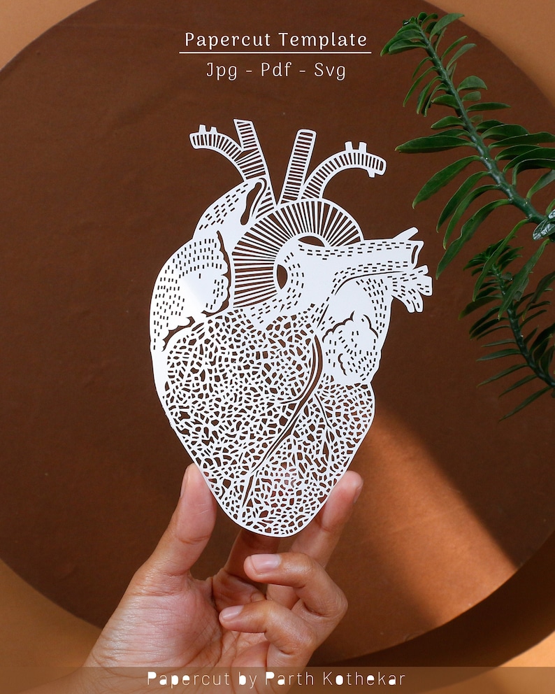 Heart Anatomy Paper Cut Template | Human Heart Paper Cutting Art | Svg ...