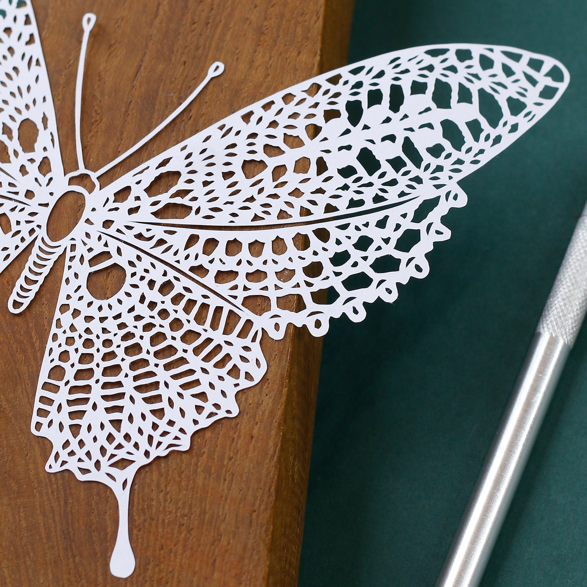 Butterfly Papercut Template, Papercutting SVG, Paper Cut Art, Digital ...