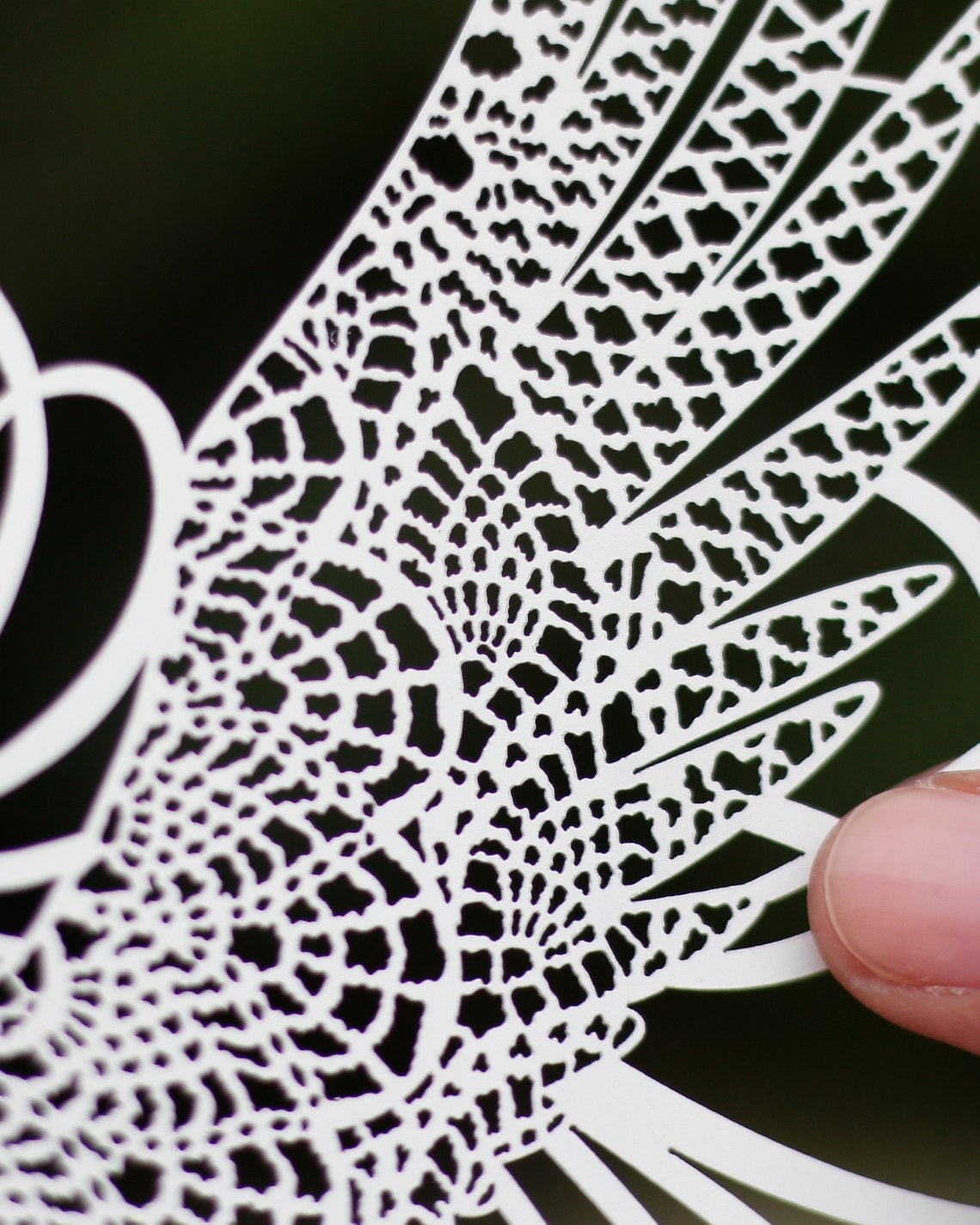 Phoenix Bird Papercut Template, Papercutting SVG, Paper Cut Art ...