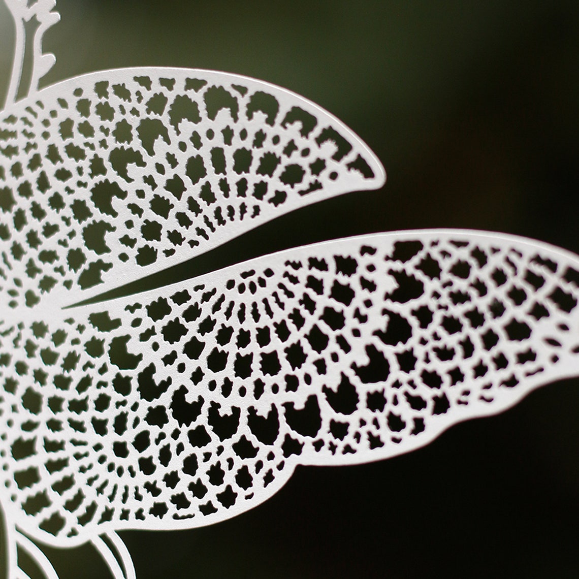 Beetle Papercut Template, Papercutting SVG, Paper Cut Art, Digital ...