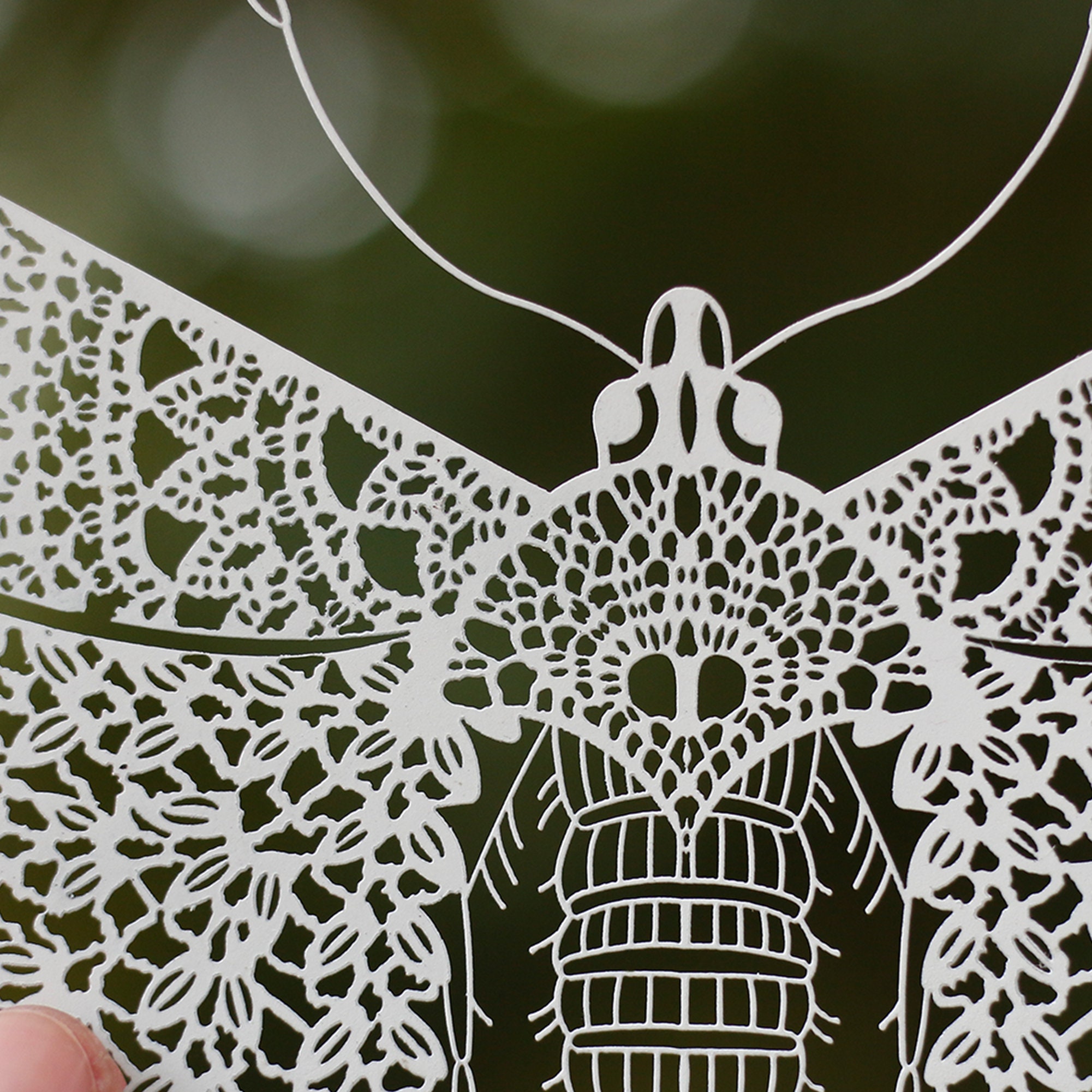 Butterfly Papercut Template, Papercutting SVG, Paper Cut Art, Digital ...