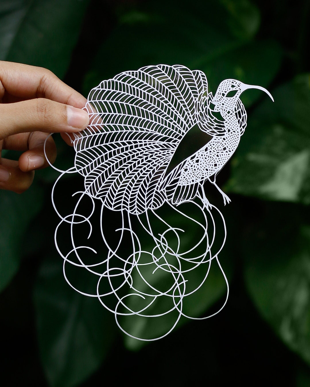 Papercut Template Bird of Paradise, Bird Papercutting, Digital Download ...