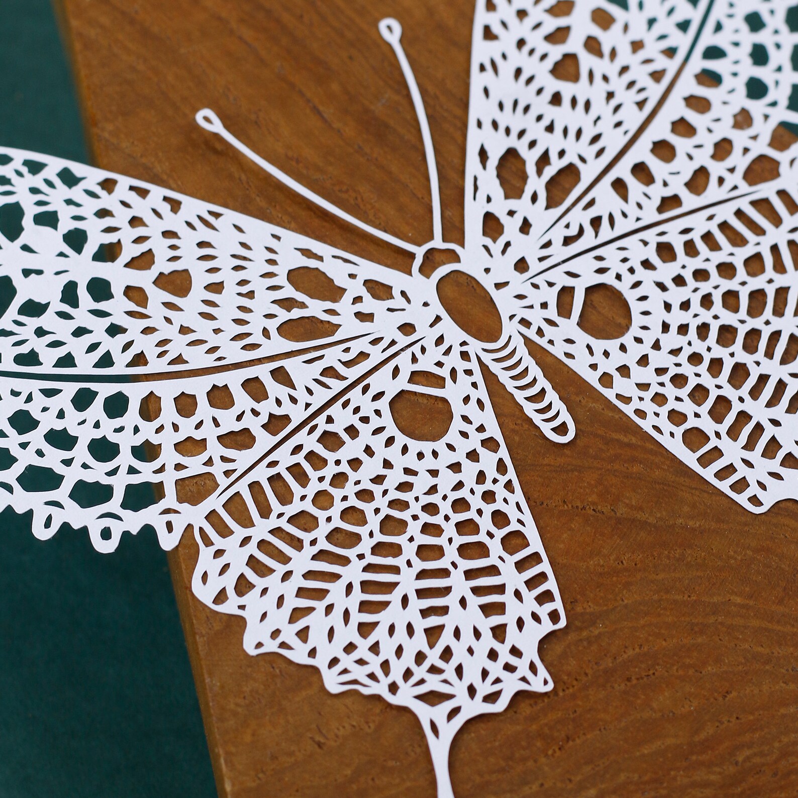 Butterfly Papercut Template, Papercutting SVG, Paper Cut Art, Digital ...