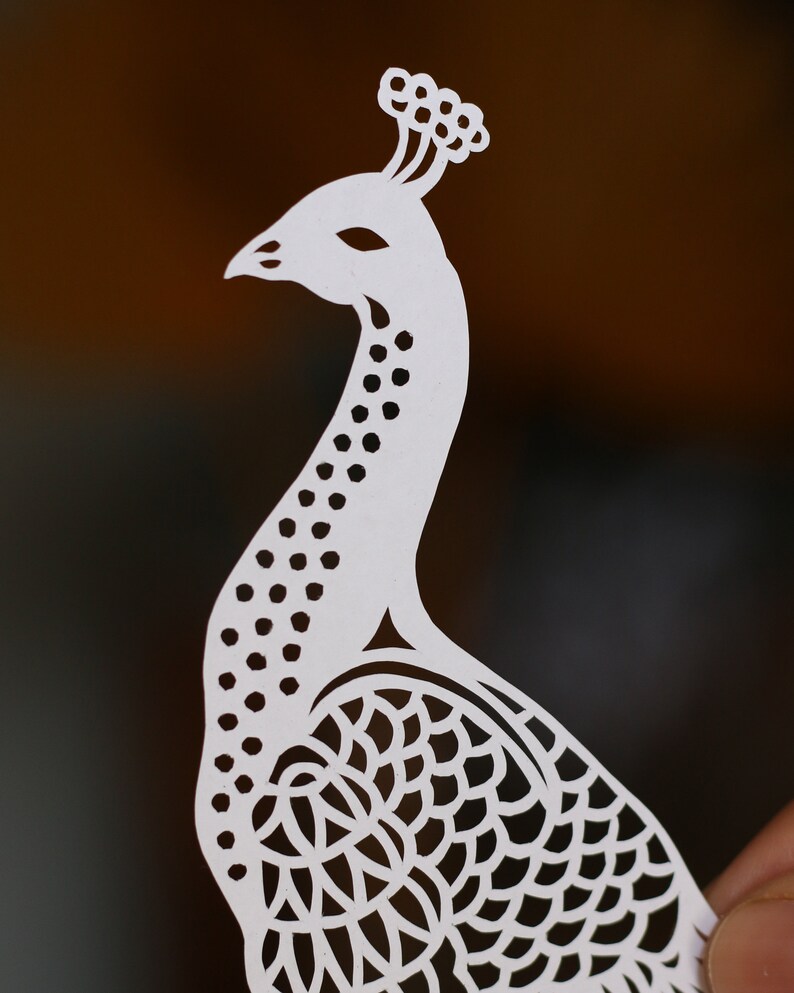 Peacock Bird Papercut Template, Papercutting Cricut SVG Silhouette ...