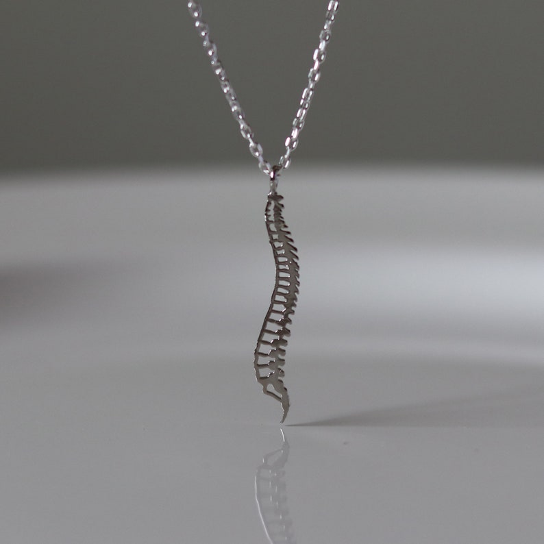 Spinal Cord Pendant Human Organ Jewelry Silver Pendant Biology ...