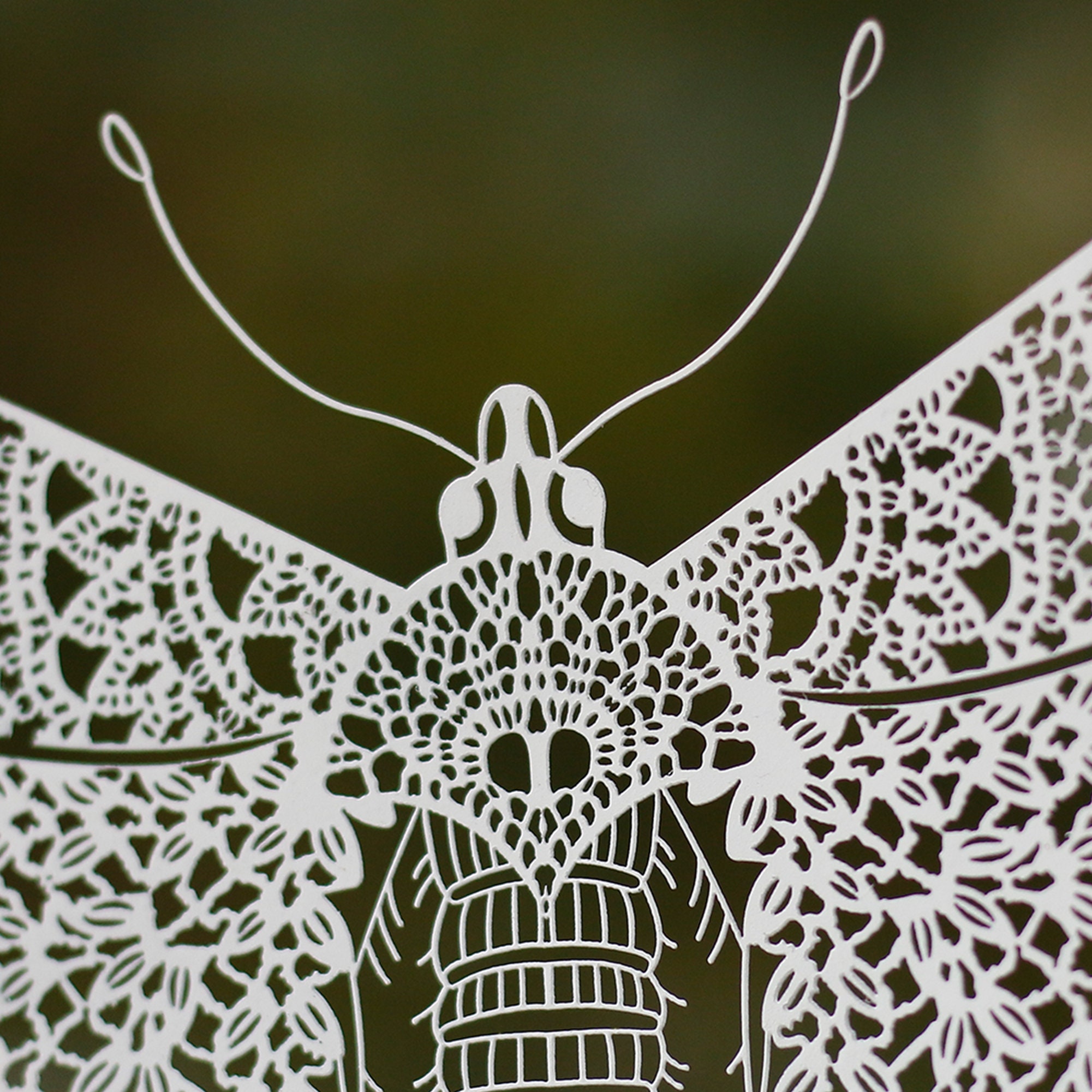 Butterfly Papercut Template, Papercutting SVG, Paper Cut Art, Digital ...