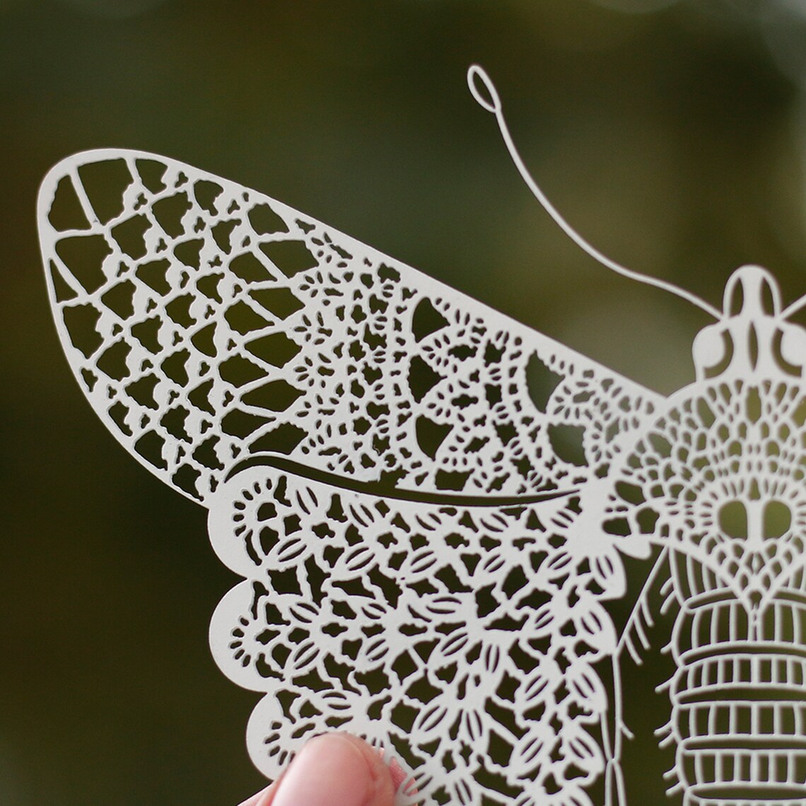 Butterfly Papercut Template, Papercutting SVG, Paper Cut Art, Digital ...