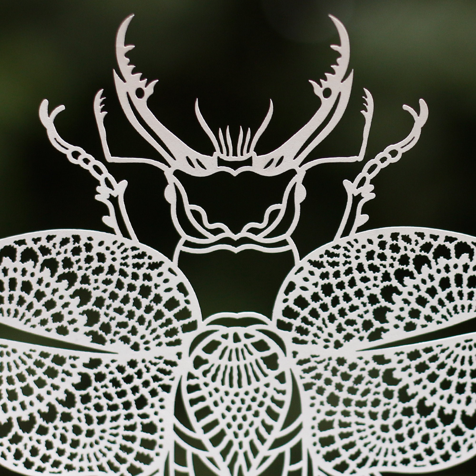 Beetle Papercut Template, Papercutting SVG, Paper Cut Art, Digital ...