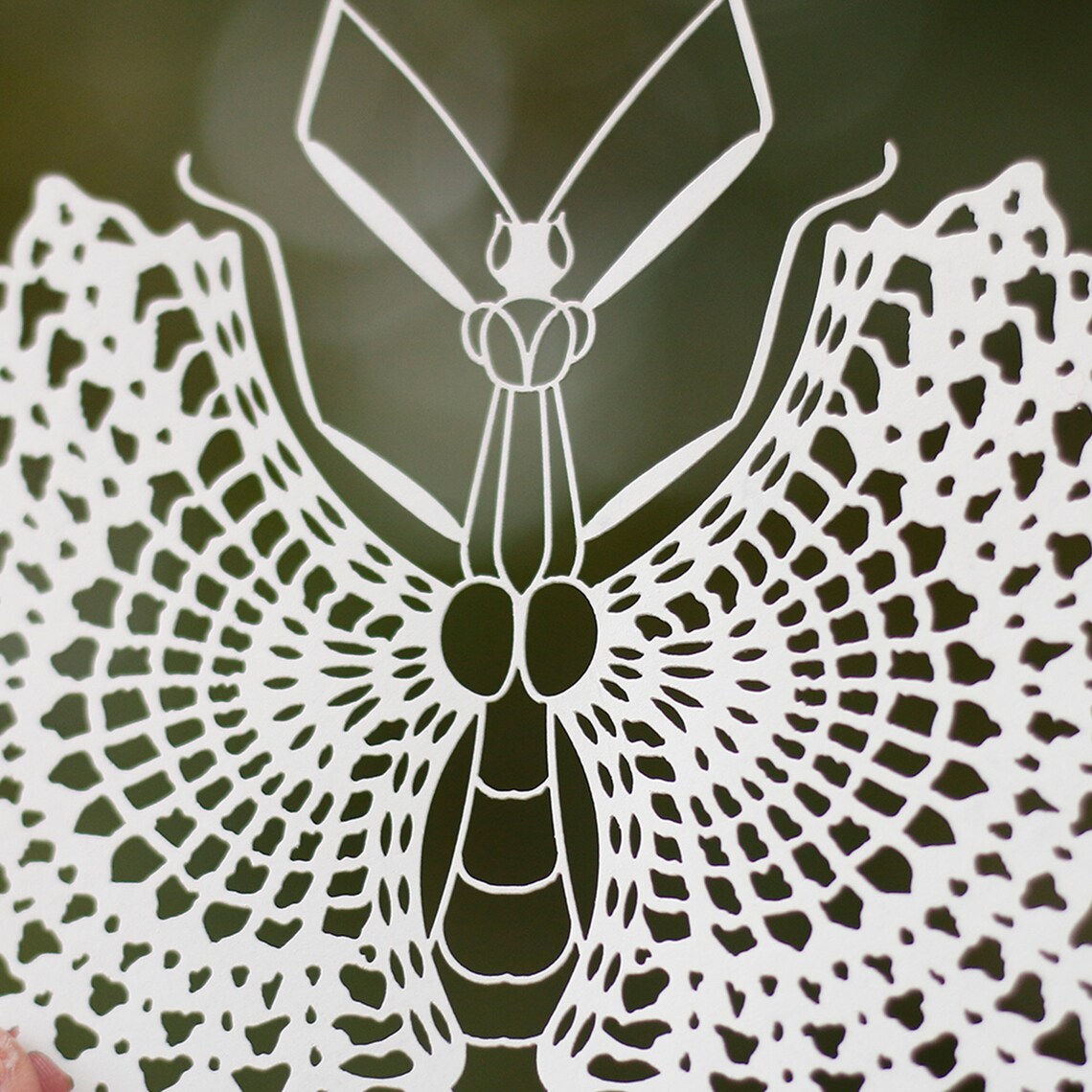 Papercut Template Papercutting SVG Paper Cut Art Digital - Etsy