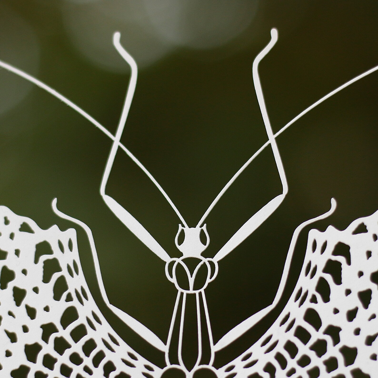 Papercut Template Papercutting SVG Paper Cut Art Digital - Etsy