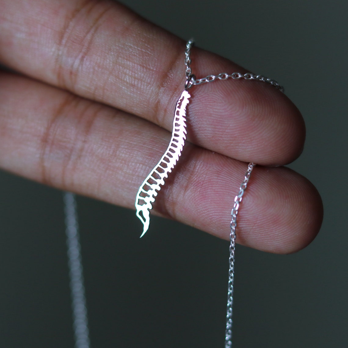 Spinal Cord Pendant Human Organ Jewelry Silver Pendant Biology ...