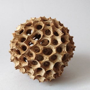 Tactile Abstract Wood Carving - Wooden Sculpture - Handmade Artwork ...