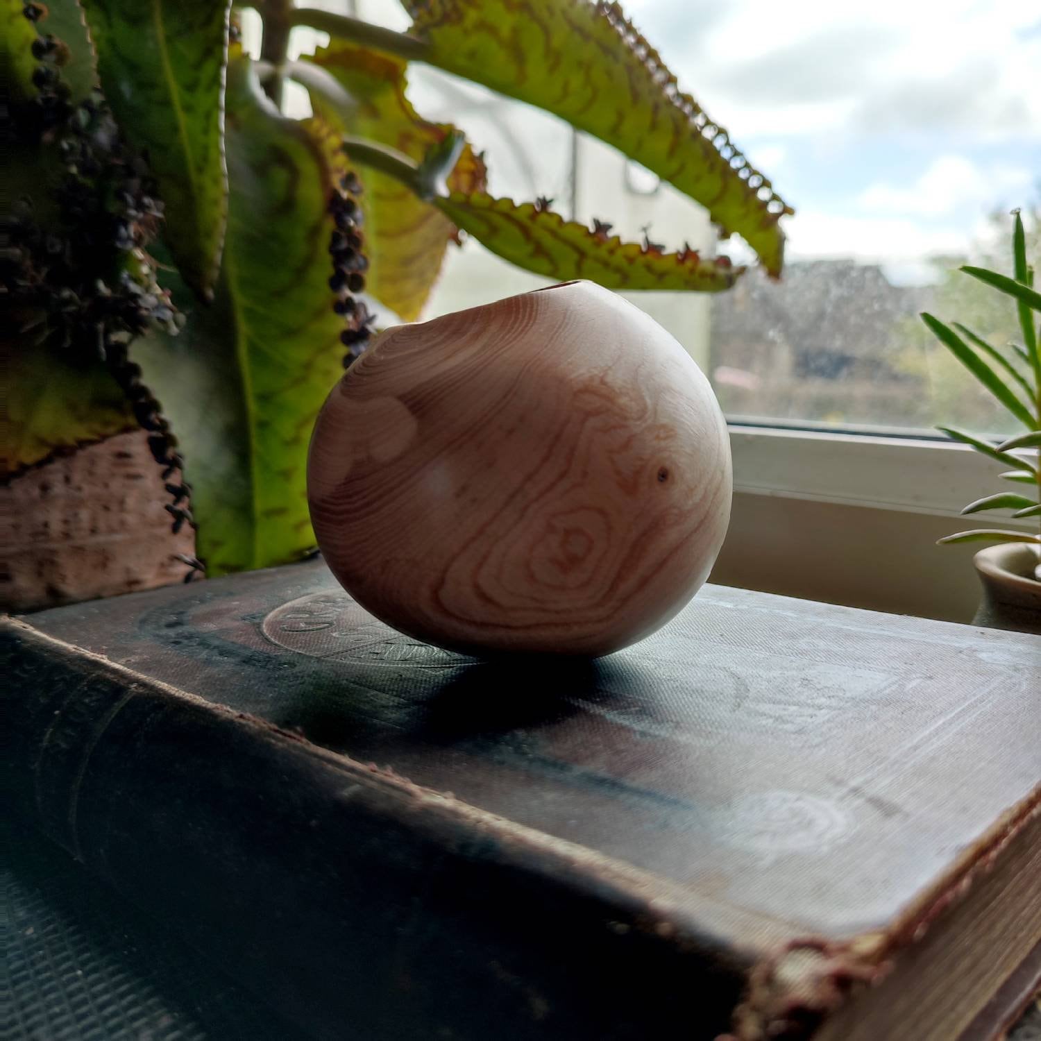 Wooden Vessel Ash Wood Sculpture Carving Hand Made Pot Natural Art Home ...