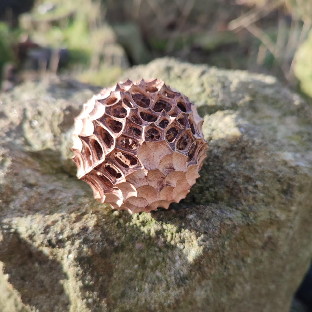 Tactile Partial Hollow Form Carving - Woodcarving - Sculpture ...