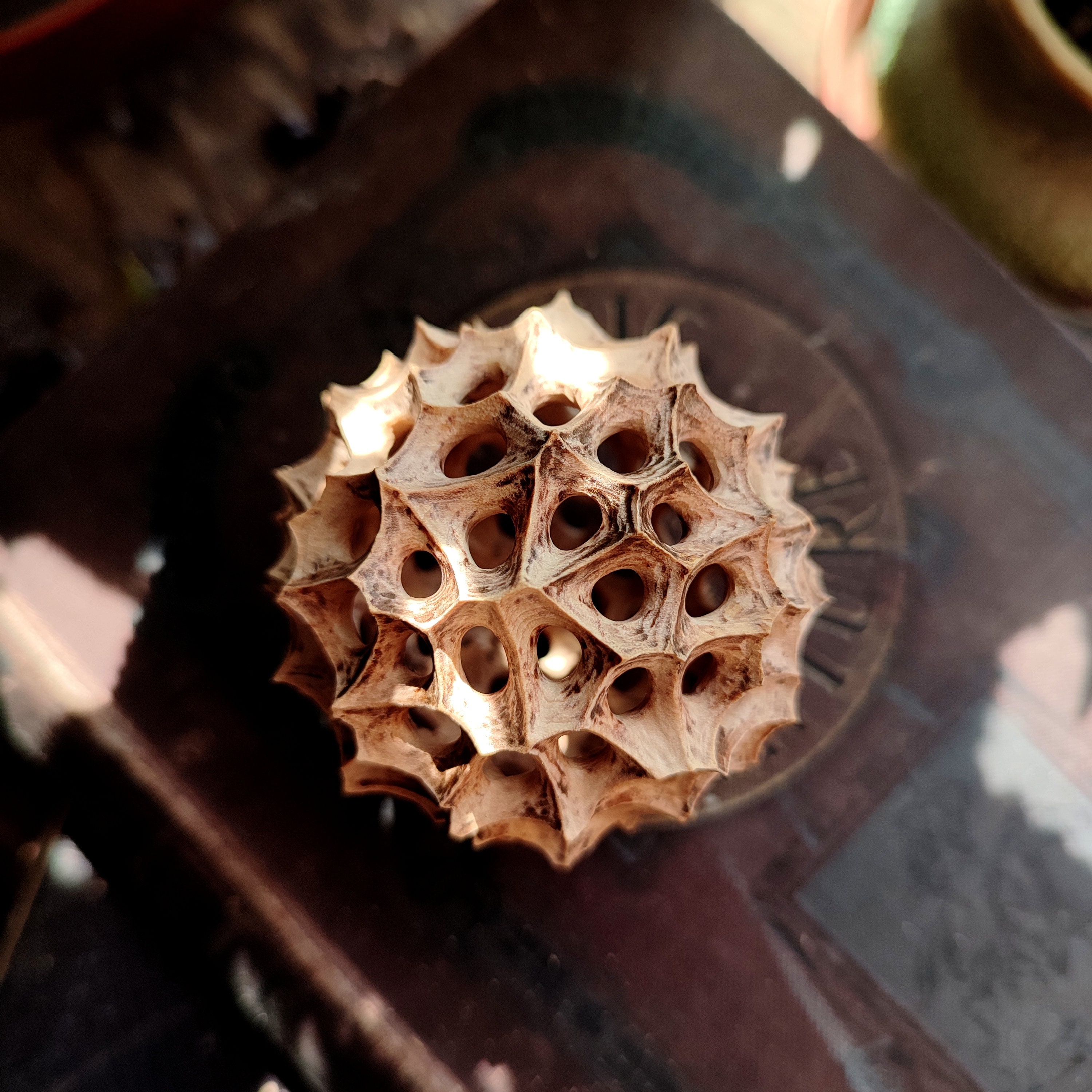 Hawthorn Wood Sculpture – Abstract Carving, Tactile Art Object - Etsy
