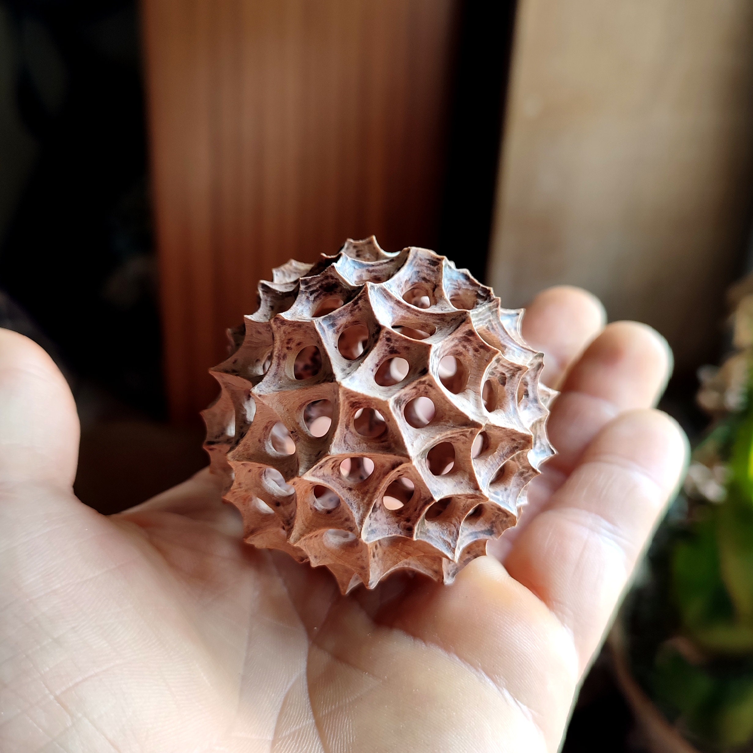 Abstract Woodcarving Wood Sculpture Hawthorn Art Object Curio Wooden ...