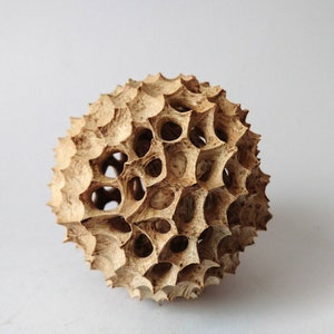 Tactile Abstract Wood Carving - Wooden Sculpture - Handmade Artwork ...