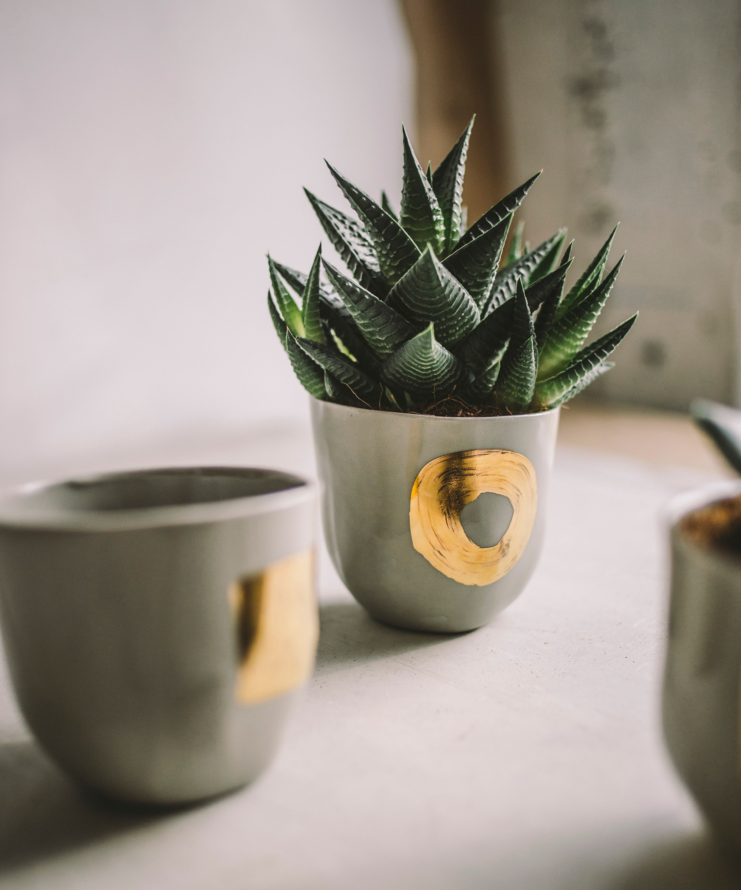 Gold Ceramic Planter Succulent Planter Set Office Decor Desk | Etsy
